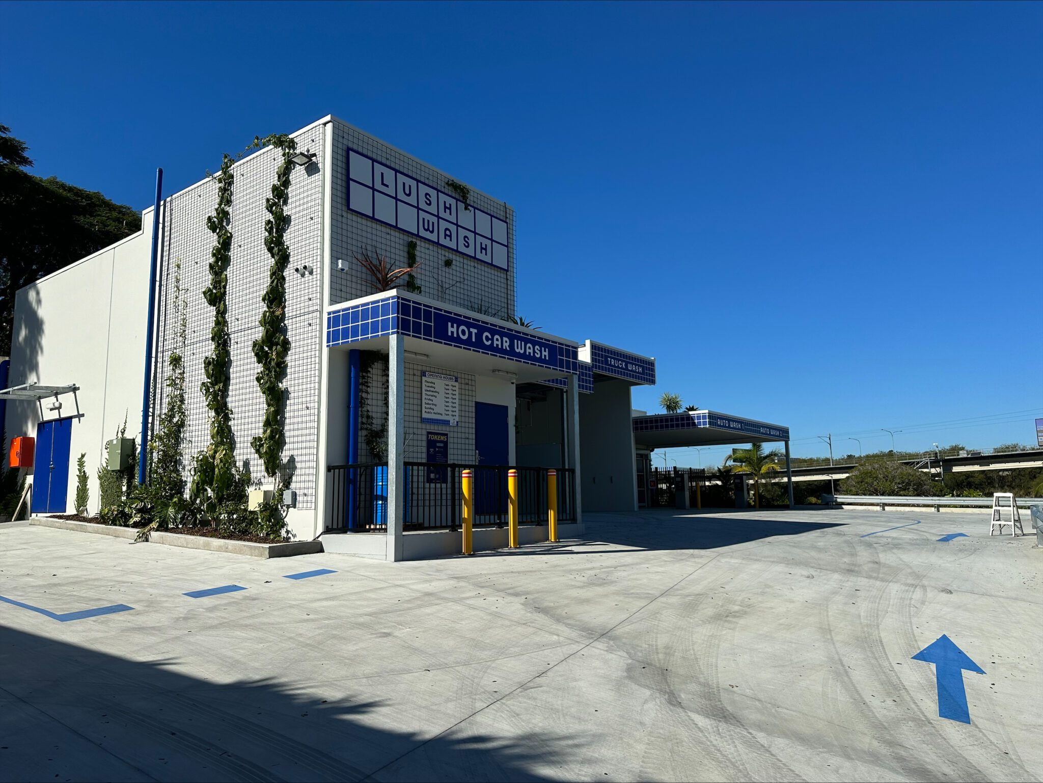 Lush Car Wash & Dog Bath - Experience the Lush Difference