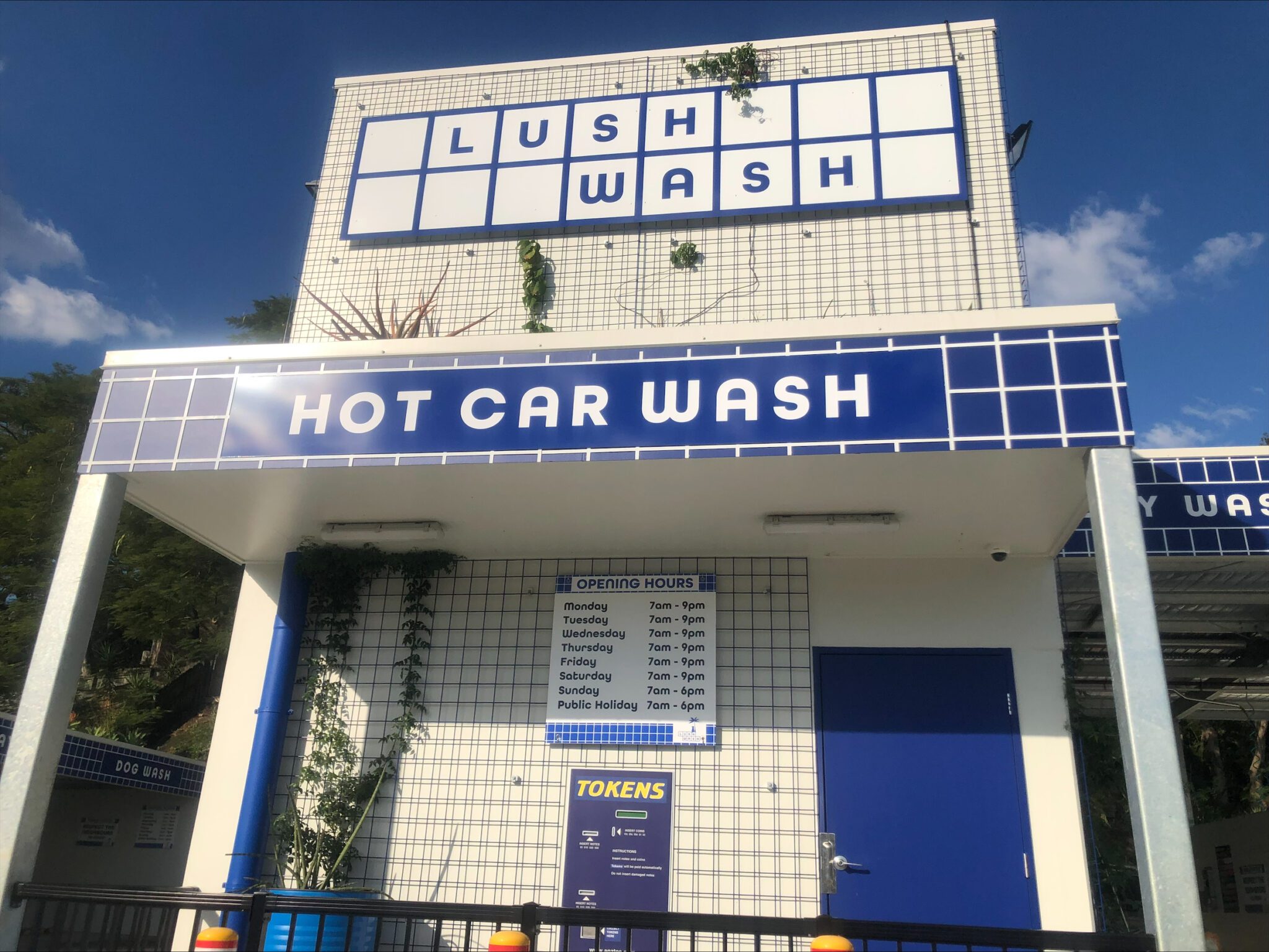 Lush Car Wash & Dog Bath - Experience the Lush Difference